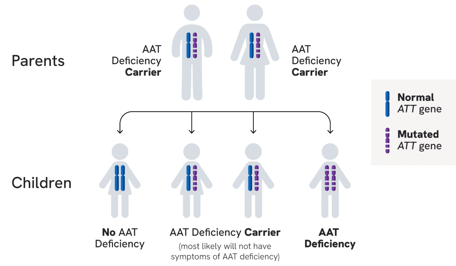Causes of Alpha-1 Antitrypsin Deficiency | Alpha-1 Foundation