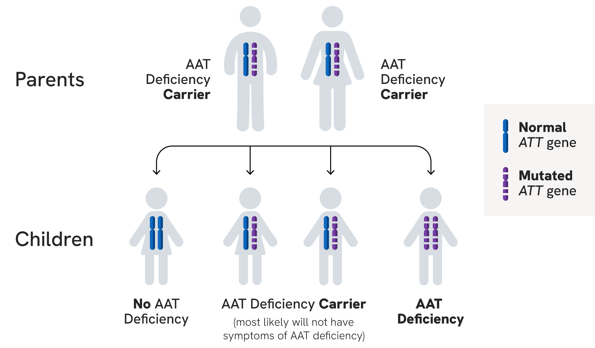 Causes of Alpha-1 Antitrypsin Deficiency | Alpha-1 Foundation