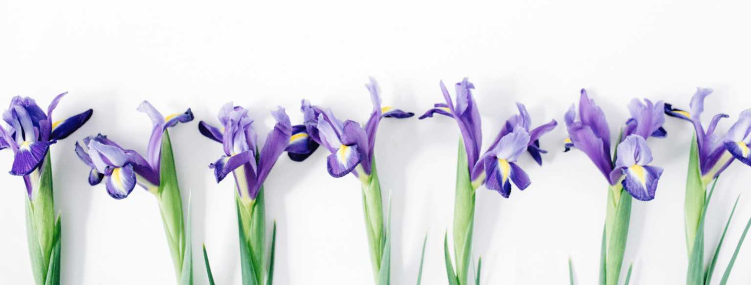 Alpha Angels – Supporting the Alpha-1 Community